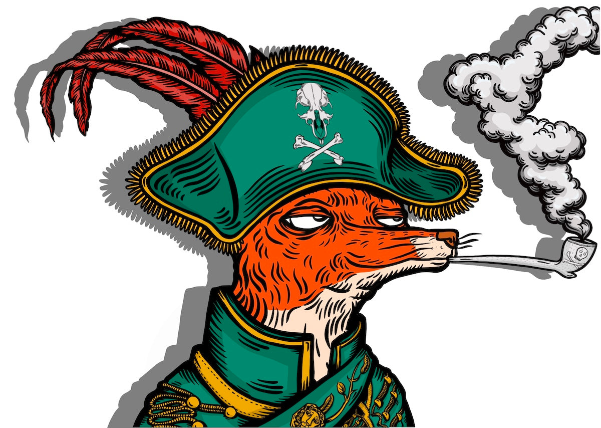 Captain Fly – The Picaroons